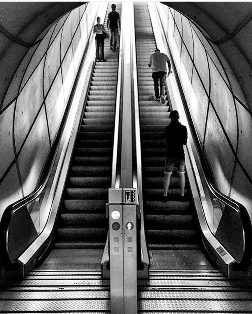 Form And Function - DILAN ABEYA Ltd.